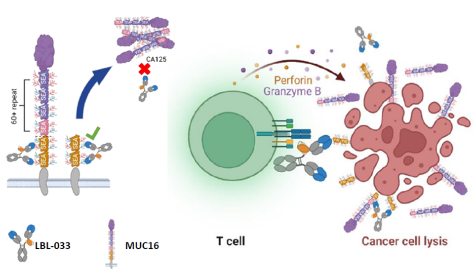 As the project Supporter, BLA congratulates Leads Biolabs on receiving ...