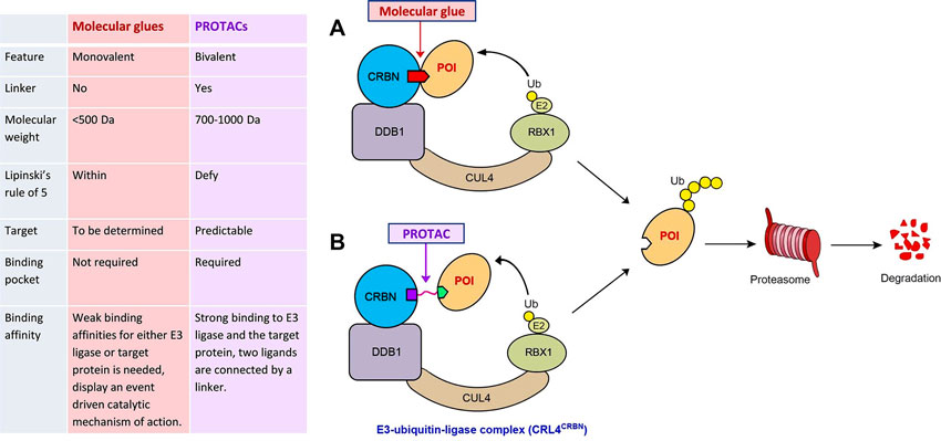 As the project partner, BLA congratulates Gluetacs Therapeutics on ...