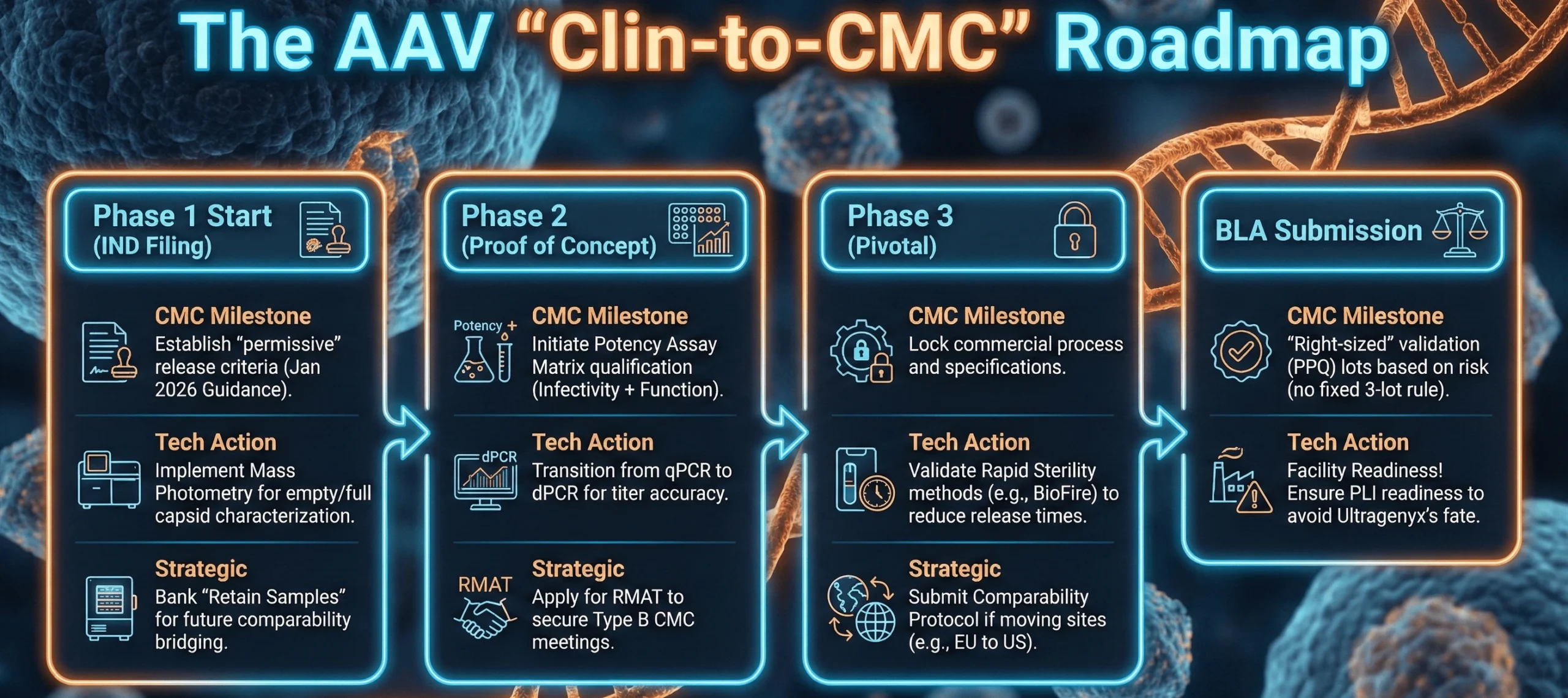 AAV Gene Therapy and the 2026 CMC Cliff — BLA Regulatory